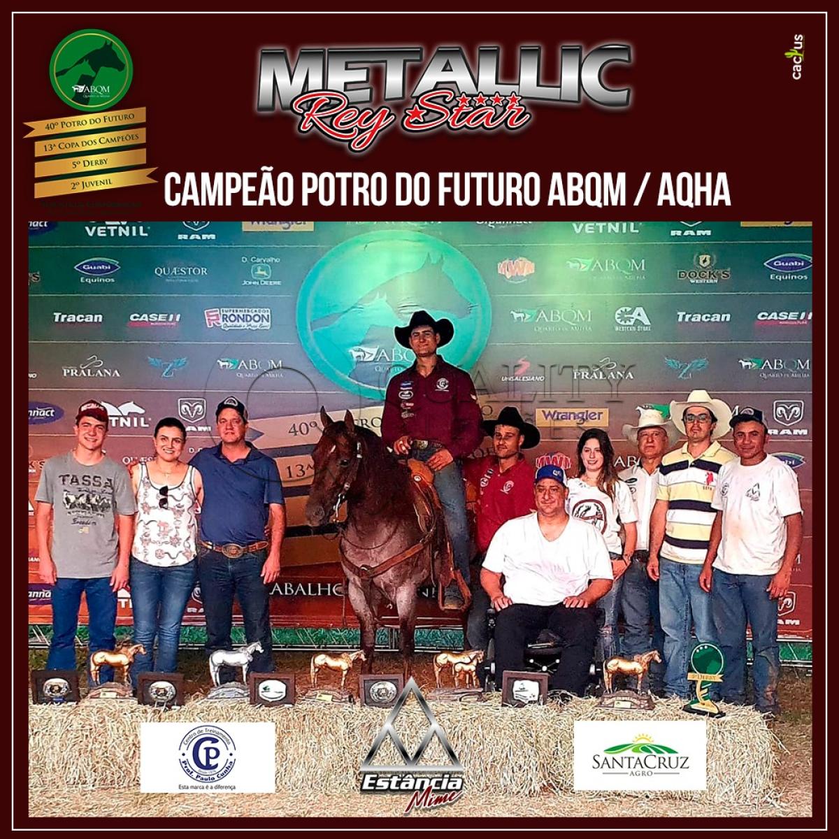 METALLIC REY STAR 4M (COBERTURAS) - JUNTOS PELO RIO GRANDE DO SUL ...