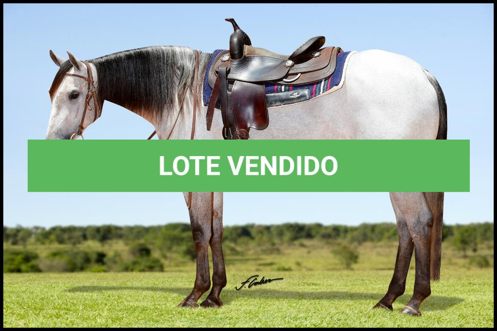 NOBLE GUNS AND ROSES - 1º LEILÃO MONSTERS OF WORK - Quality Leilões ...