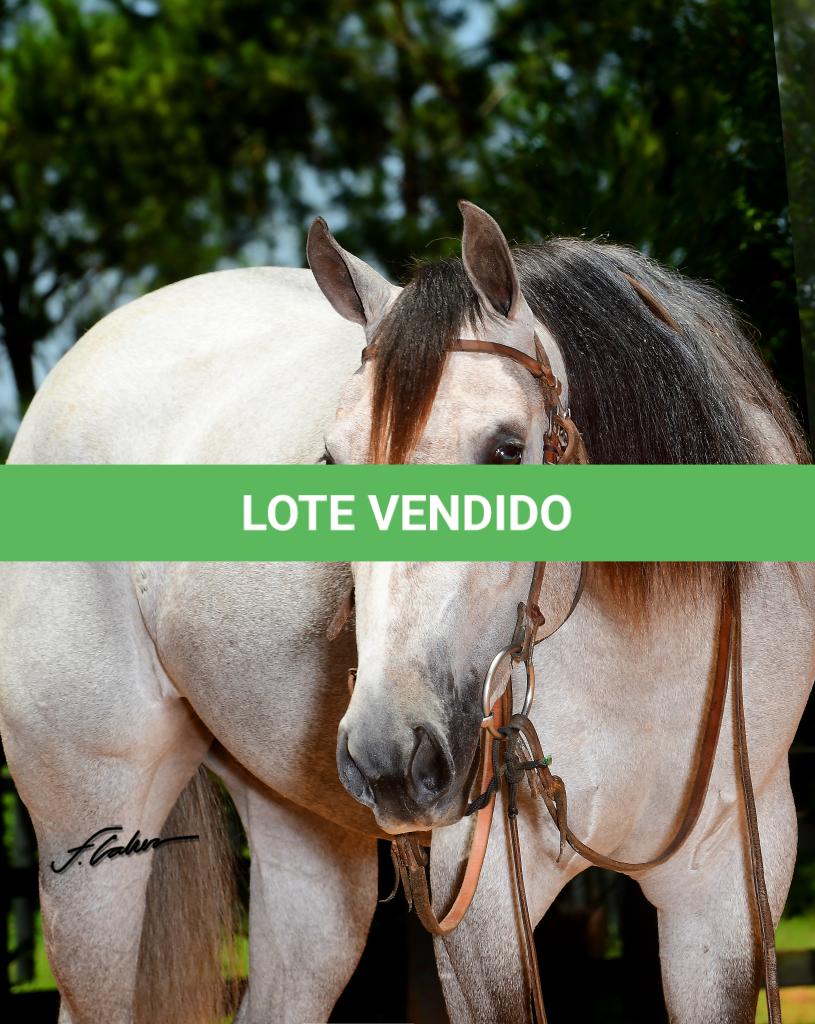 NOBLE GUNS AND ROSES - 1º LEILÃO MONSTERS OF WORK - Quality Leilões ...